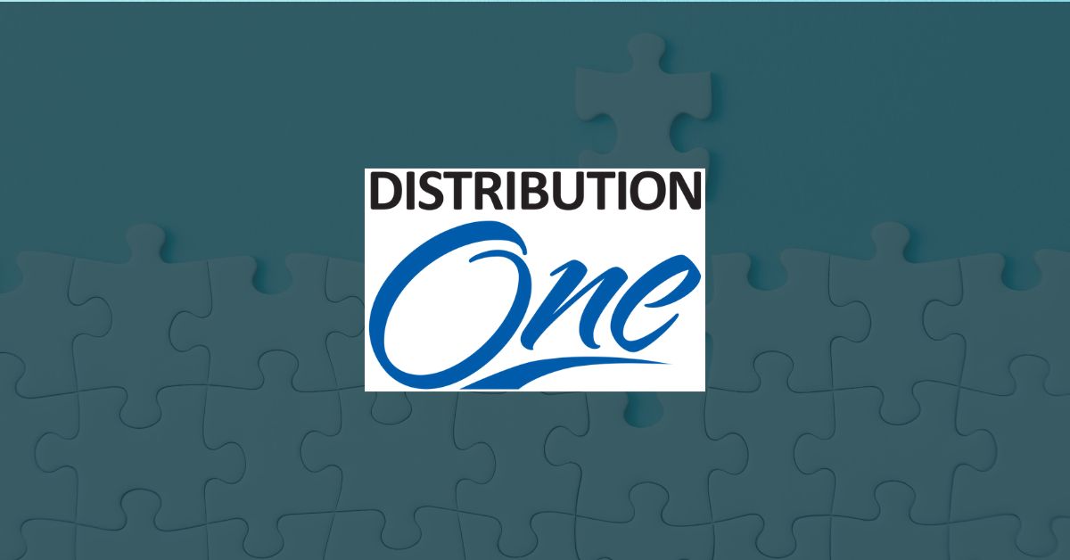 Best practices for optimizing Distribution One ERP